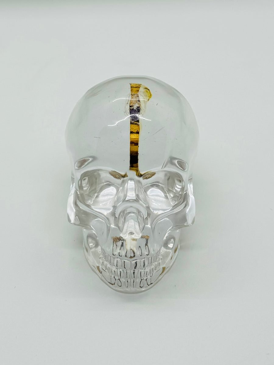 Large-Epoxy Skull and Recycled Skateboard Brain 💀🛹🧠 – Barousse Works